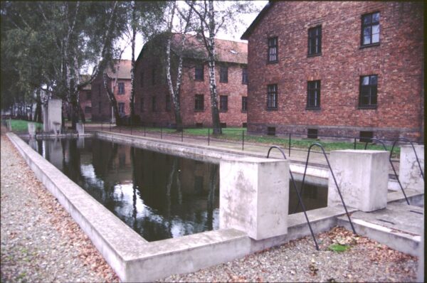 Swimming Pool | Holocaust Encyclopedia